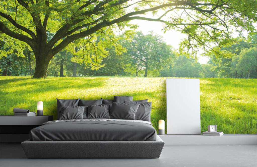 Prachtige boom met groen gras - Fotobehang