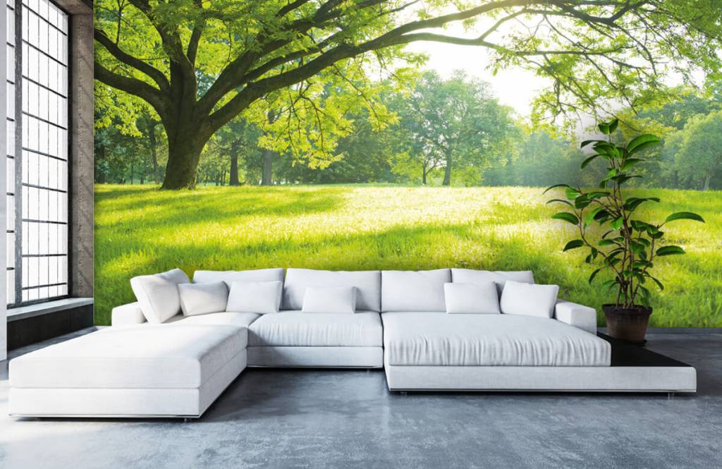 Prachtige boom met groen gras - Fotobehang