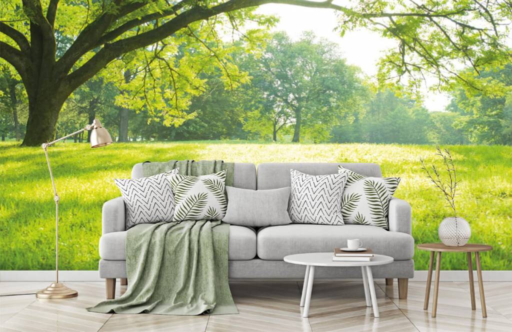 Prachtige boom met groen gras - Fotobehang