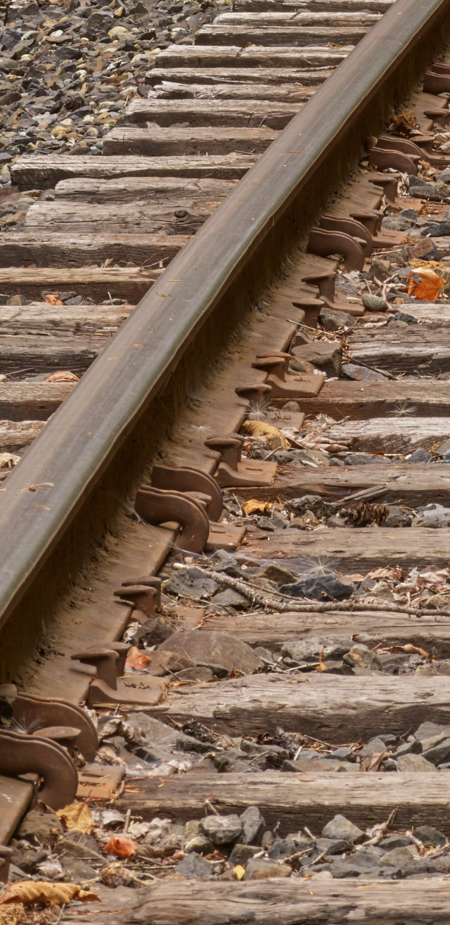 Treinspoor - Fotobehang