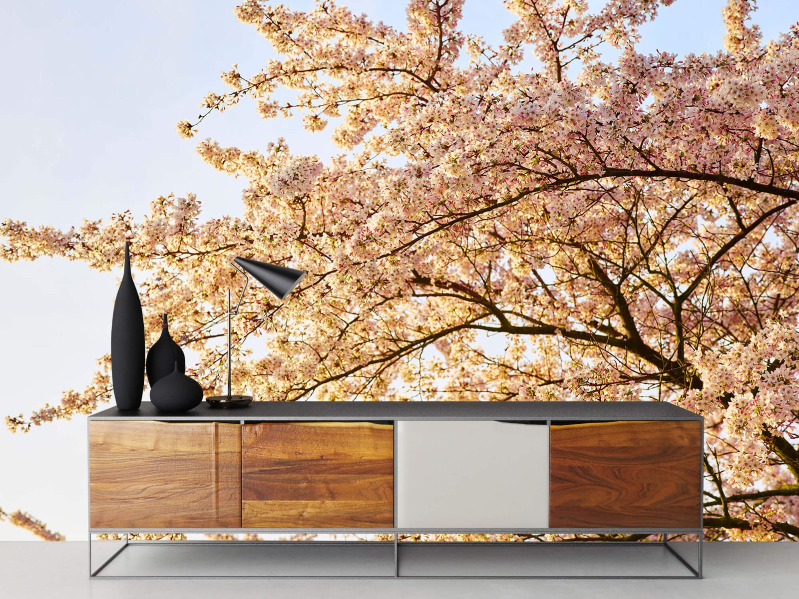 Bloesemtak in bloei - Fotobehang